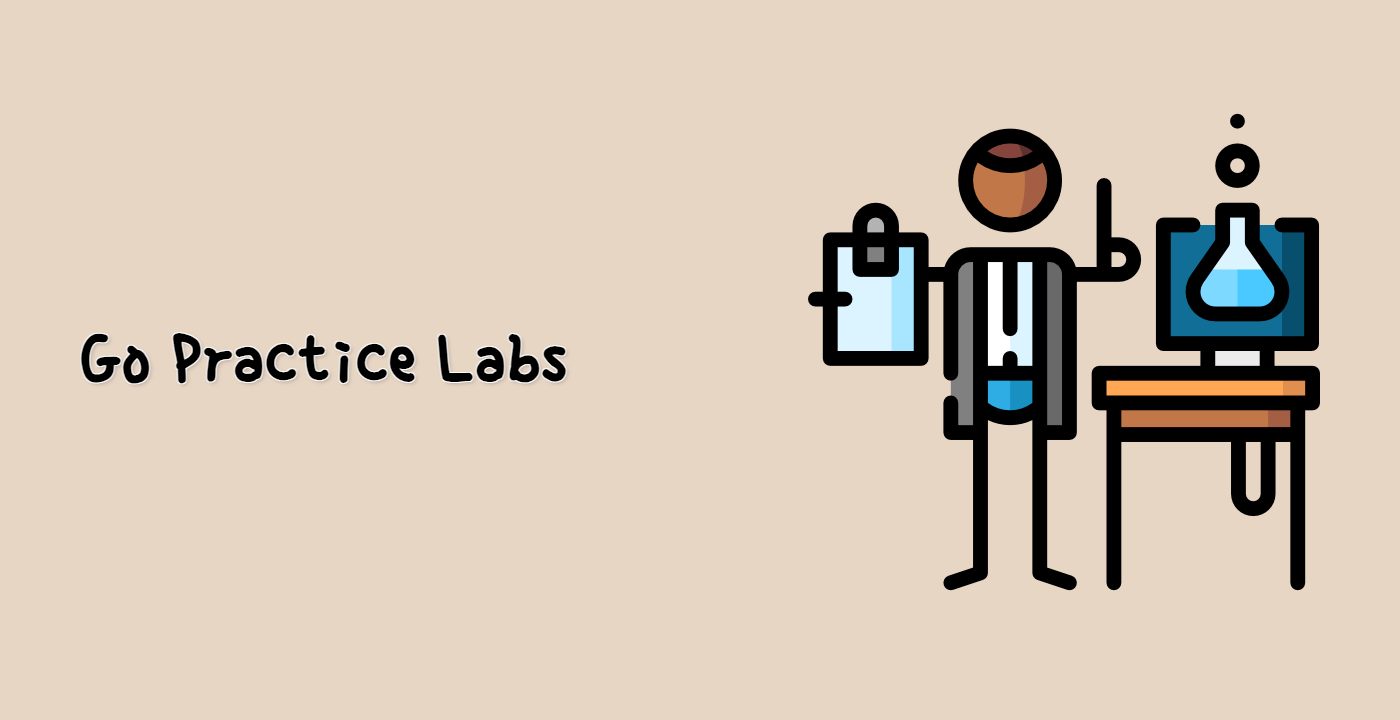 Go Practice Labs: Go 코딩 실력 향상 | LabEx