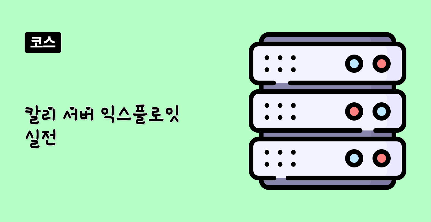 칼리 서버 익스플로잇 실전 윤리적 해킹 침투 테스트 Penetration Testing Labex