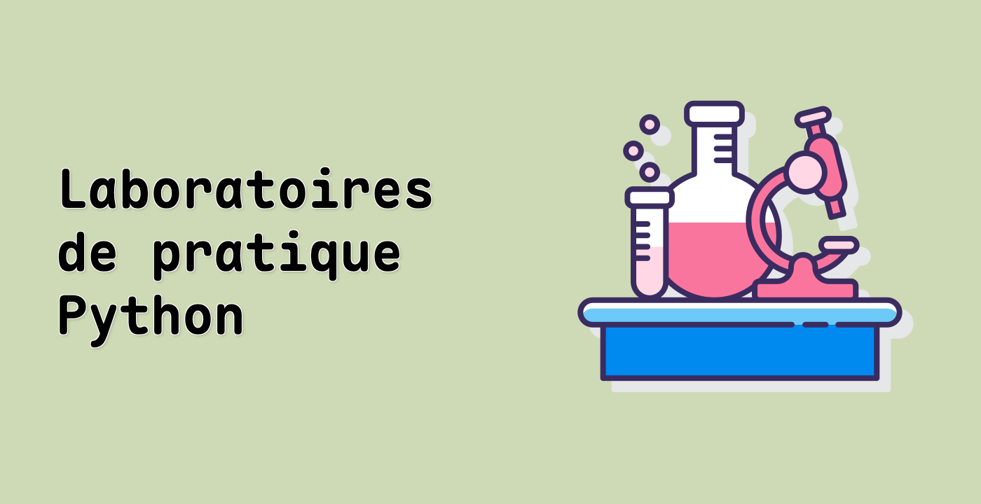Laboratoires De Pratique Python Labex