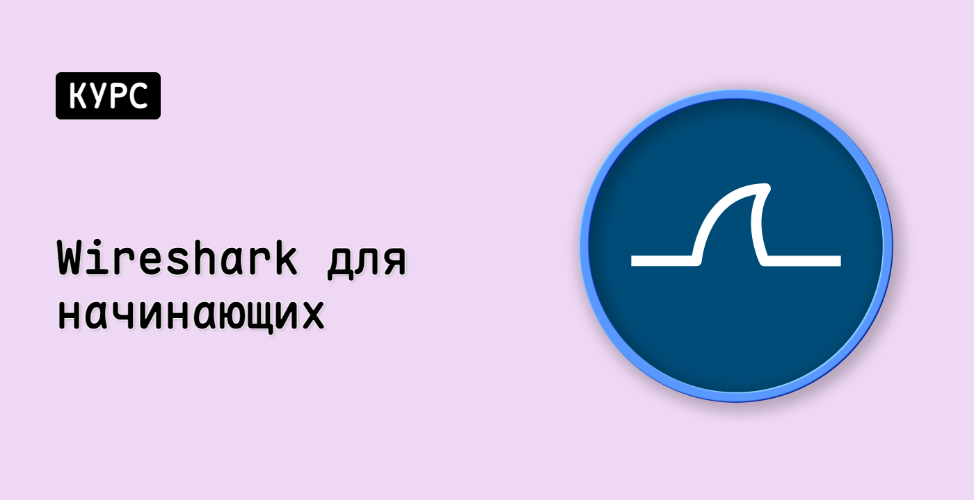 Kali Linux для начинающих: Ваши первые шаги в тестировании на проникновение | LabEx